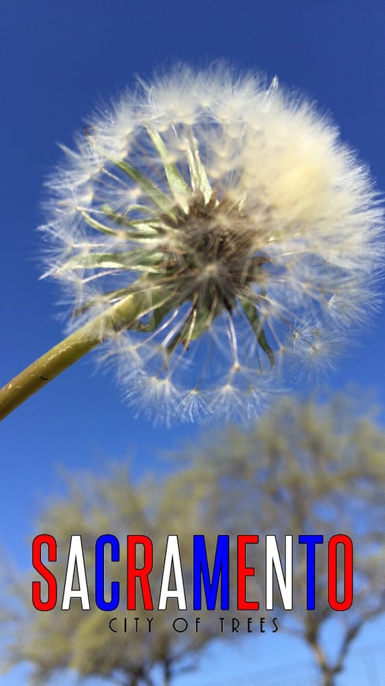 BROOKTREE PARK - Updated June 2024 - 246 Photos - 6800 Dunmore St ...