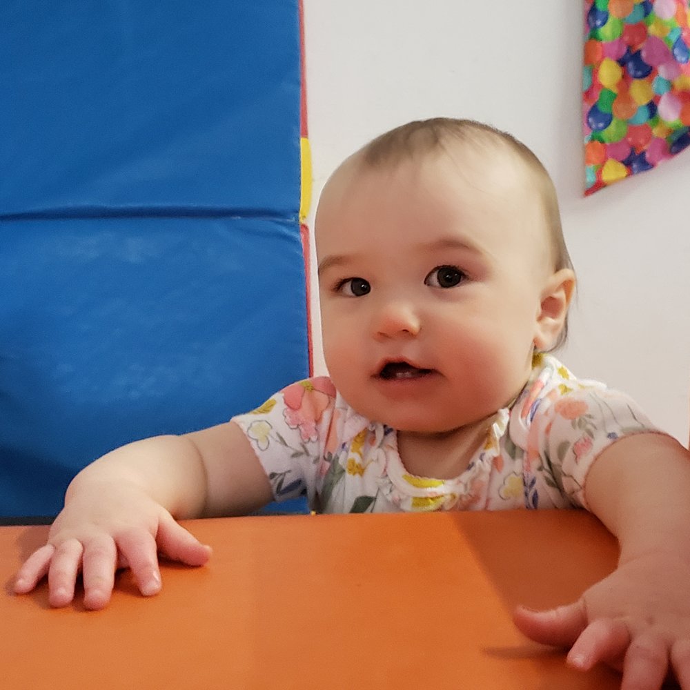 Karl Sanft's Instagram, Twitter & Facebook on IDCrawl