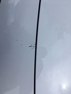 HERTZ RENT A CAR - 36 Photos & 191 Reviews - 3175 Belvedere Rd, West ...