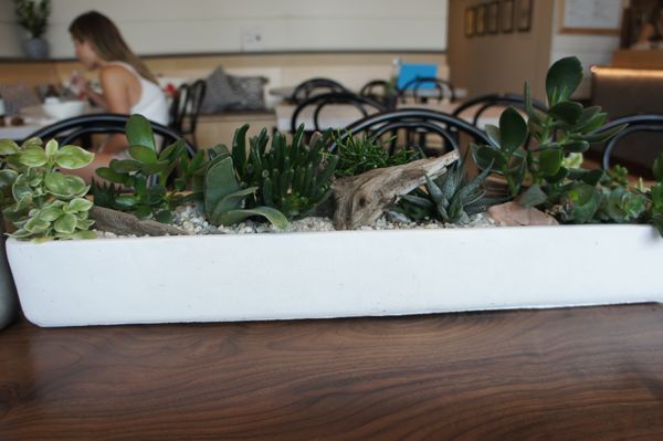 SEED N SALT - Updated December 2025 - 53 Photos & 32 Reviews - 2008 4 ...