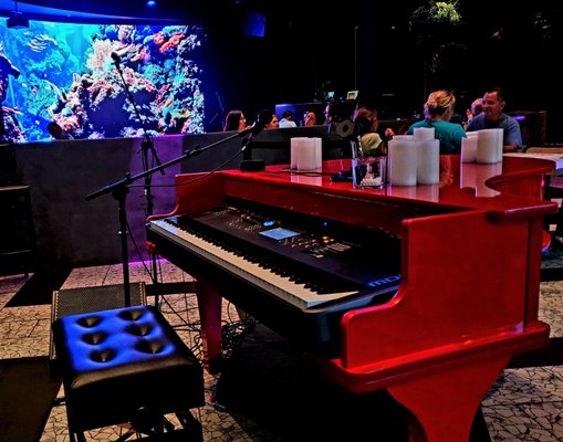 ESTEFAN KITCHEN ORLANDO - Updated October 2025 - 832 Photos & 382 ...