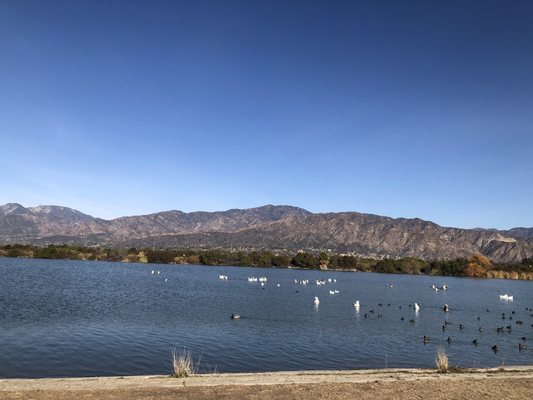 SANTA FE DAM RECREATION AREA - 704 Photos & 181 Reviews - Parks - 15501 ...