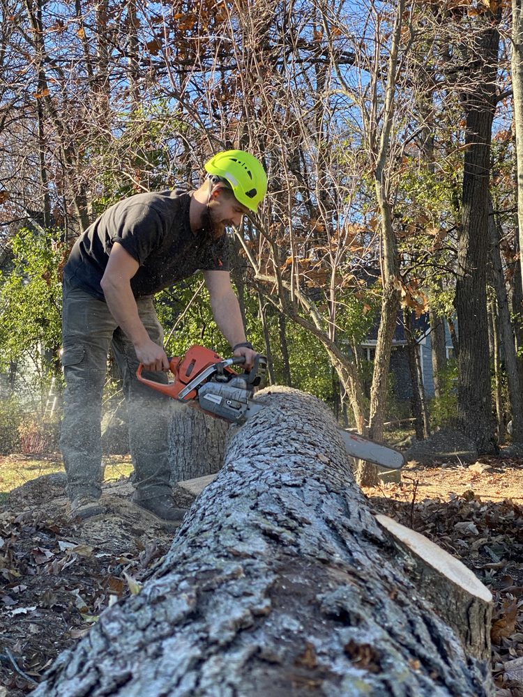 ALPHA TREE SERVICE - Updated April 2024 - 23 Photos - 424 Lisa Cir ...