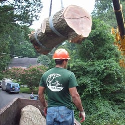 JL TREE SERVICE - 162 Photos & 116 Reviews - 10395 Democracy Ln ...