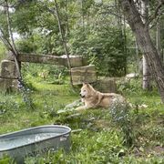 PHILLIPS PARK ZOO - 179 Photos & 82 Reviews - 1000 Ray Moses Dr, Aurora ...