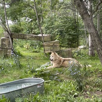 PHILLIPS PARK ZOO - Updated May 2024 - 224 Photos & 96 Reviews - 1000 ...