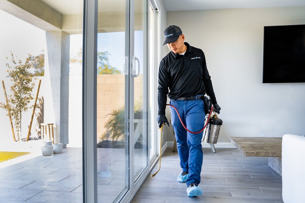 INSECTEK PEST SOLUTIONS - Updated October 2025 - 59 Photos & 559 ...