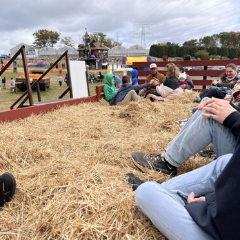 COUNTRY SUN FARMS & GREENHOUSES - Updated December 2025 - 52 Photos ...