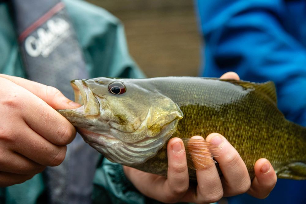 SHALLOW WATER FISHING ADVENTURES - Updated December 2025 - 59 Photos ...