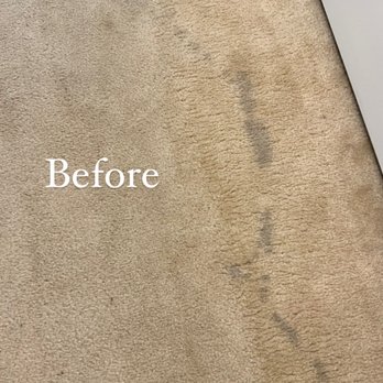 WORLD CLASS CARPET CLEANING - Updated November 2025 - 196 Photos & 474 ...