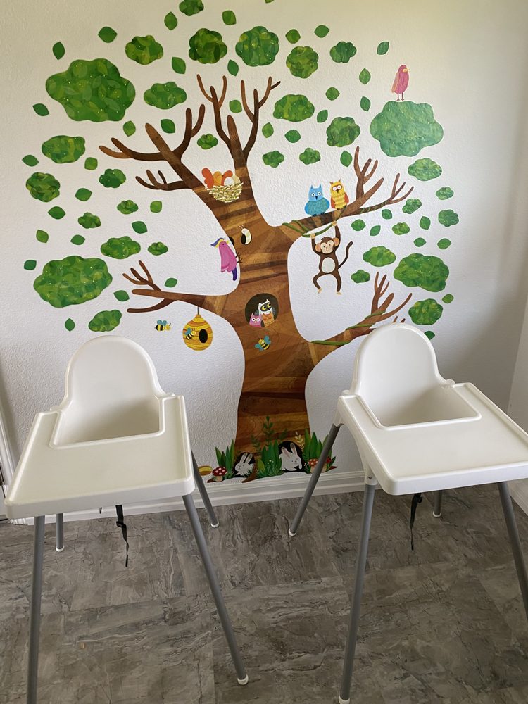 FAMILY TREE DAYCARE - Updated November 2025 - E Madison St, Petaluma ...