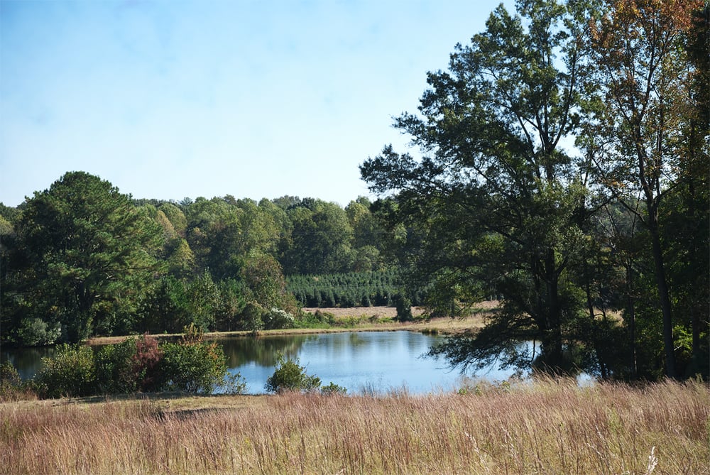 COUNTRY FUN PARK - Updated October 2025 - 3444 Plain View Church Rd ...