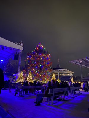 YULETIDE AT DEVON - Updated December 2025 - 35 Photos - 23 Dorset Rd ...