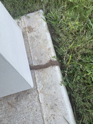 WHITE KNIGHT PEST CONTROL - Updated October 2025 - 63 Photos & 278 ...