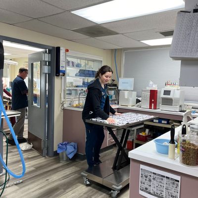 Pet Care Center at Luna Park - Updated June 2026 - 60 Photos & 118 ...