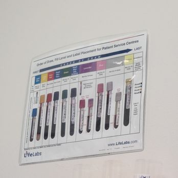 LIFELABS - Updated September 2024 - 2318 Lake Shore Blvd W, Toronto ...