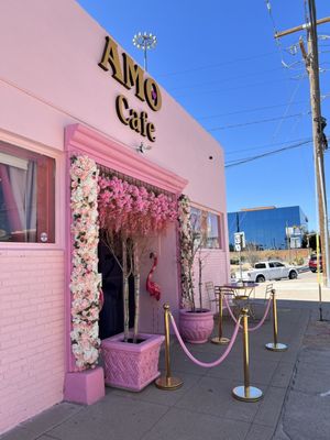AMO CAFE - Updated October 2025 - 141 Photos & 67 Reviews - 412 W ...