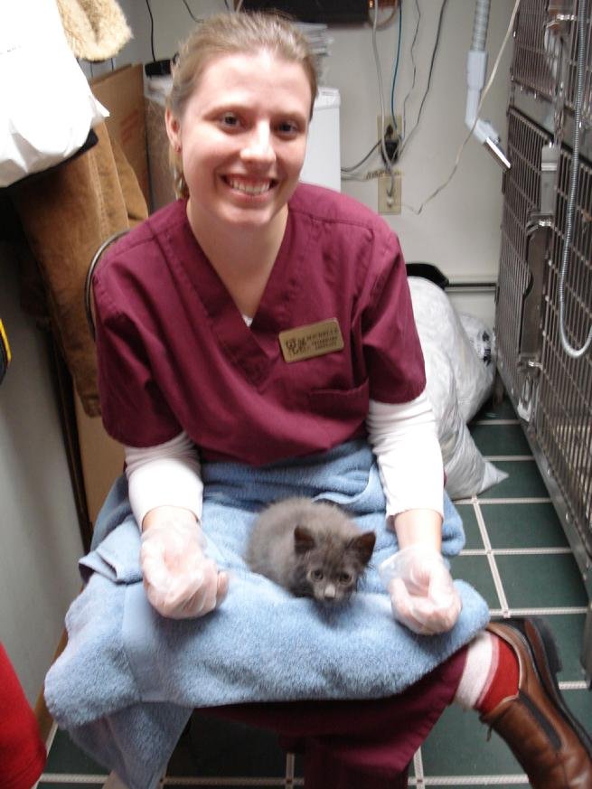 COPPER COUNTRY MALL - Updated April 2025 - 12 Photos - 47420 Hwy M-26 ...