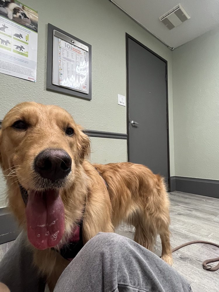 REDWOOD ANIMAL HOSPITAL - Updated October 2025 - 106 Photos & 287 ...