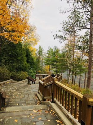 THE PENNSYLVANIA GRAND CANYON - Updated August 2025 - 23 Photos & 17 ...