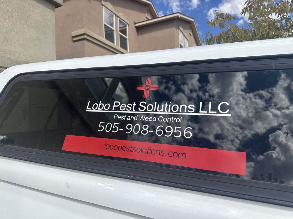 LOBO PEST SOLUTIONS, LLC - Updated September 2024 - Rio Rancho, New ...