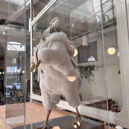 PLACE CARMIN - Updated January 2026 - 203 Photos & 73 Reviews - 740 Rue ...