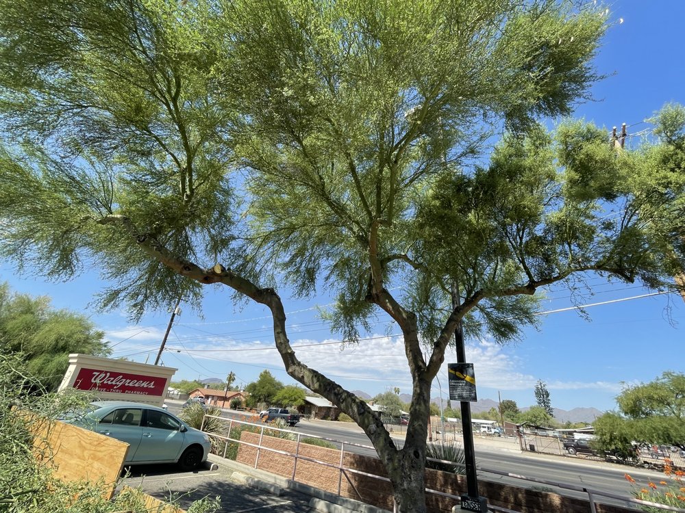 TREE’S BY NICKO - Updated November 2025 - 30 Photos - 9660 E Creek St ...