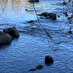 THE 10 BEST Things to Do in Red Bank, SC - 2024 - Yelp