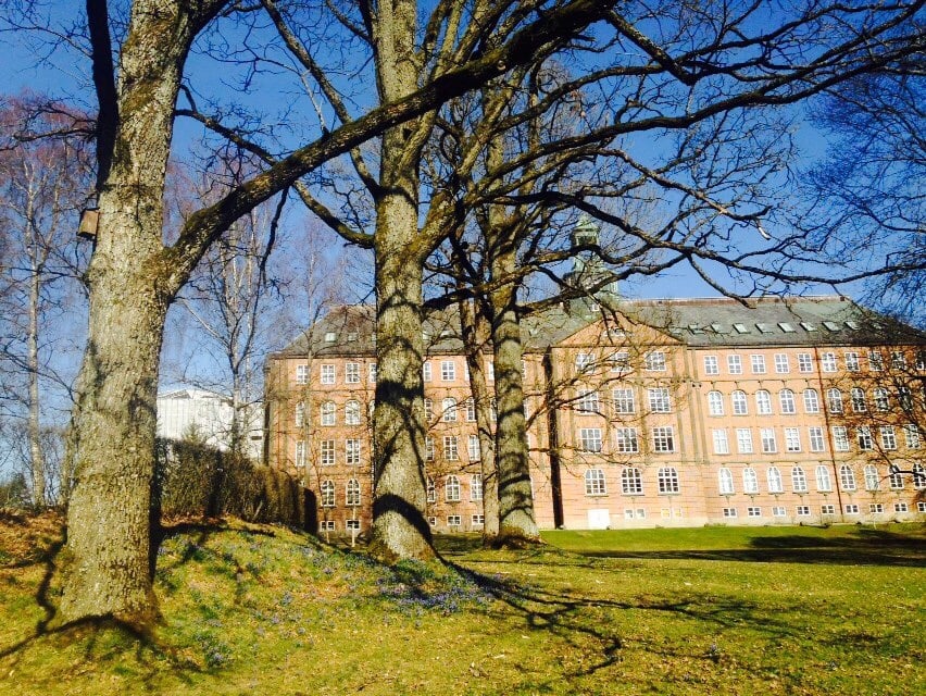 NORGES MILJØ- OG BIOVITENSKAPELIGE UNIVERSITET NMBU - Universitetstunet ...