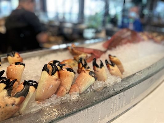 LUCKY SHUCK - 628 Photos & 498 Reviews - 1116 Love St, Jupiter, Florida ...