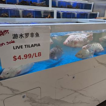 DAYOU INTERNATIONAL MARKET - Updated January 2026 - 26 Photos & 15 ...