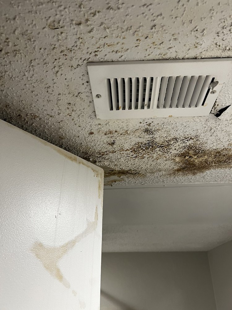 ARRAY APARTMENTS - Updated January 2026 - 24 Photos - 2101 Burton Dr ...