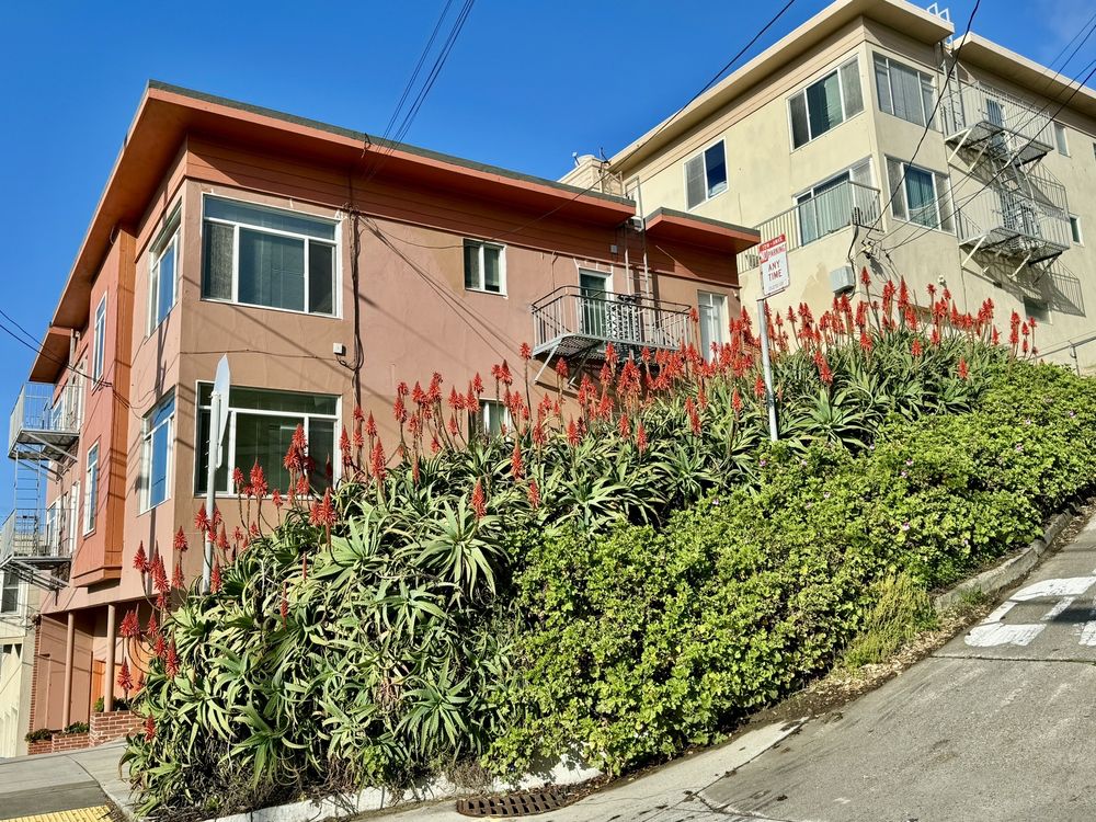 BALBOA STREET - Updated December 2025 - 22 Photos - San Francisco ...