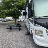 GOLD RANCH RV RESORT - Updated October 2025 - 61 Photos & 50 Reviews ...