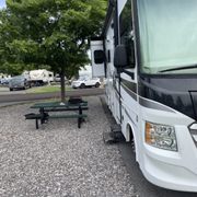 GOLD RANCH RV RESORT - Updated October 2025 - 61 Photos & 50 Reviews ...