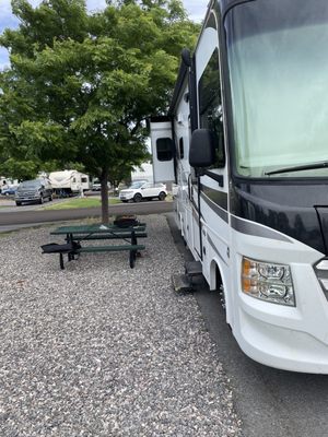 GOLD RANCH RV RESORT - Updated October 2025 - 61 Photos & 50 Reviews ...