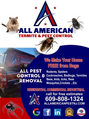 ALL AMERICAN TERMITE & PEST CONTROL - Updated October 2025 - Request a ...