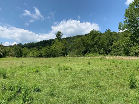 STAR B STABLES - Updated October 2025 - 18 Photos & 13 Reviews - 2926 ...