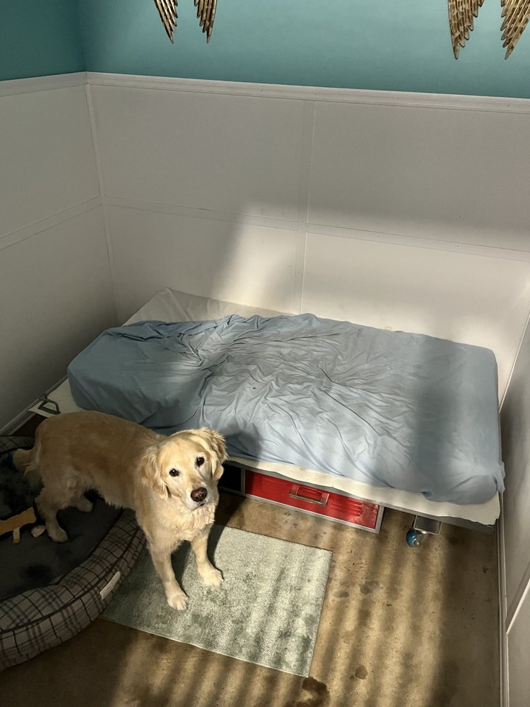 PET BAZAAR NC - Updated December 2025 - 50 Photos & 13 Reviews - 1140 N ...