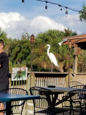 BAYPORT INN - 120 Photos & 176 Reviews - Bars - 4835 Cortez Blvd, Weeki ...