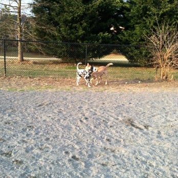 MASON DISTRICT PARK - Updated December 2025 - 38 Photos & 34 Reviews ...