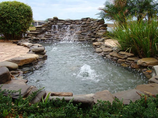 ECHO POOL SERVICES - Updated December 2025 - 18 Photos - 14809 N Rome ...