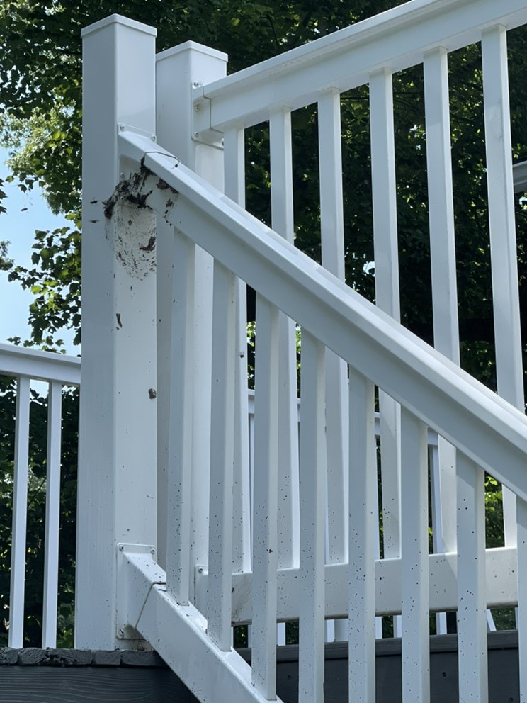 FRONTLINE PEST & WILDLIFE SERVICE - Updated September 2025 - 28 Photos ...