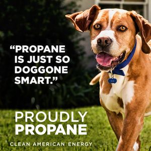 RED TRIANGLE OIL - Updated January 2026 - 22 Reviews - 2809 S Chestnut ...