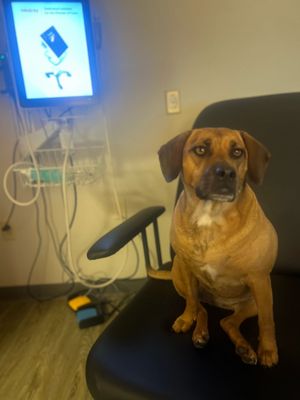 STEVEN W BAAK, MD - Updated December 2025 - 33 Photos - 3440 DePaul Ln ...