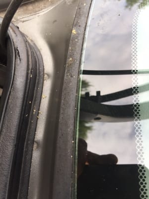 CAR POOL CAR WASH - FAR WEST END - Updated June 2026 - 51 Photos & 76 ...