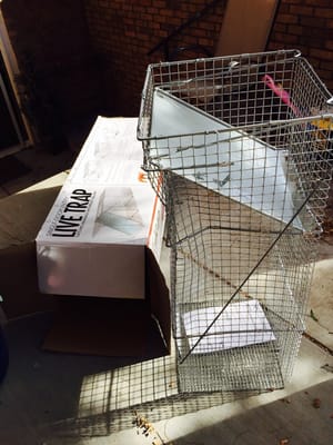 BIG R - ELIZABETH - Updated November 2025 - 21 Reviews - 650 Beverly St ...