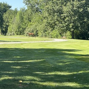 TIMBERWOOD GOLF CLUB - Updated April 2025 - 11 Photos - 23700 31 Mile ...