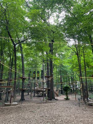 TREERUNNER ADVENTURE PARK AT ROCHESTER - Updated November 2024 - 31 ...