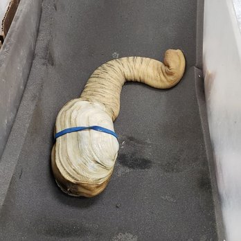 LOS ANGELES FISH COMPANY - Updated October 2025 - 165 Photos & 107 ...